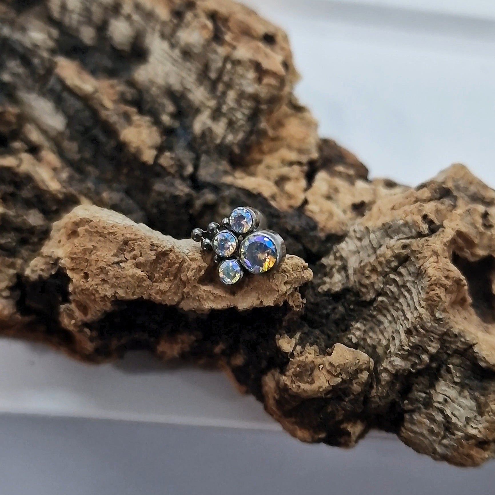 Compra piercing in titanio – Promo attiva su Louis Jewels